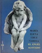 EL ÁNGEL AGOTADO | | Plaza & Janés | Casa del Libro