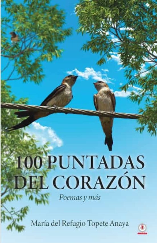 100 PUNTADAS DEL CORAZÓN de MARIA DEL REFUGIO TOPETE ANAYA | Casa del Libro
